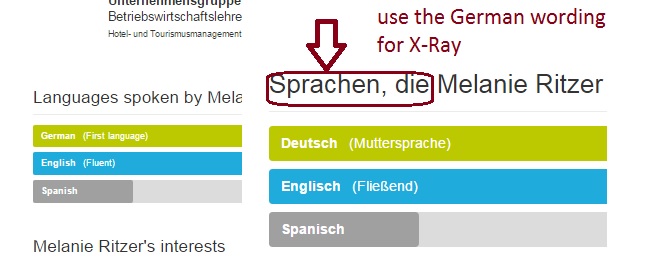 Everything You Need To Know About XING X-Ray | Boolean Strings